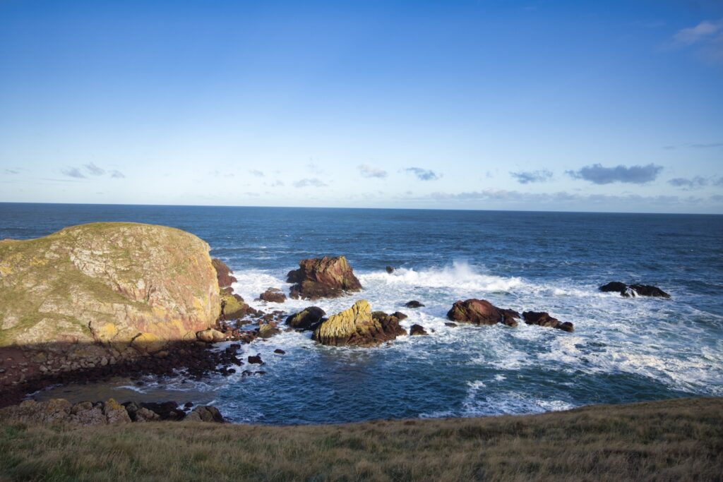 Rencontre avec les bébés phoques à St Abbs
